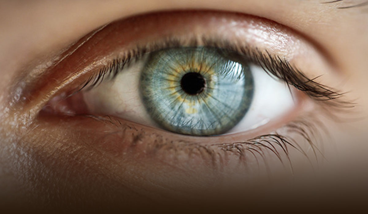 Important Facts To Know About Macular Degeneration Important Facts To Know About Macular Degeneration